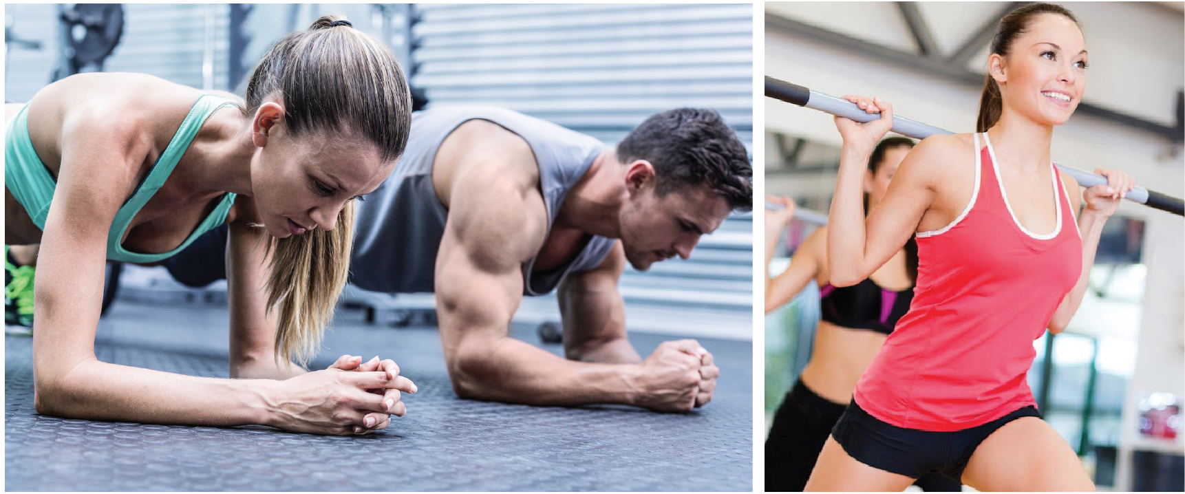 Introducing Powerhouse Gym Elite – Palo Alto Daily Post