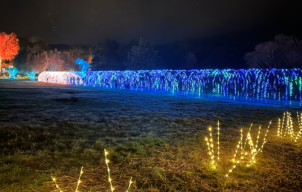 Filoli lights up Christmastime – Palo Alto Daily Post
