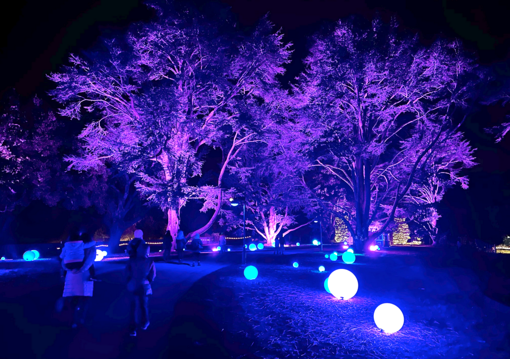 Filoli lights up Christmastime – Palo Alto Daily Post