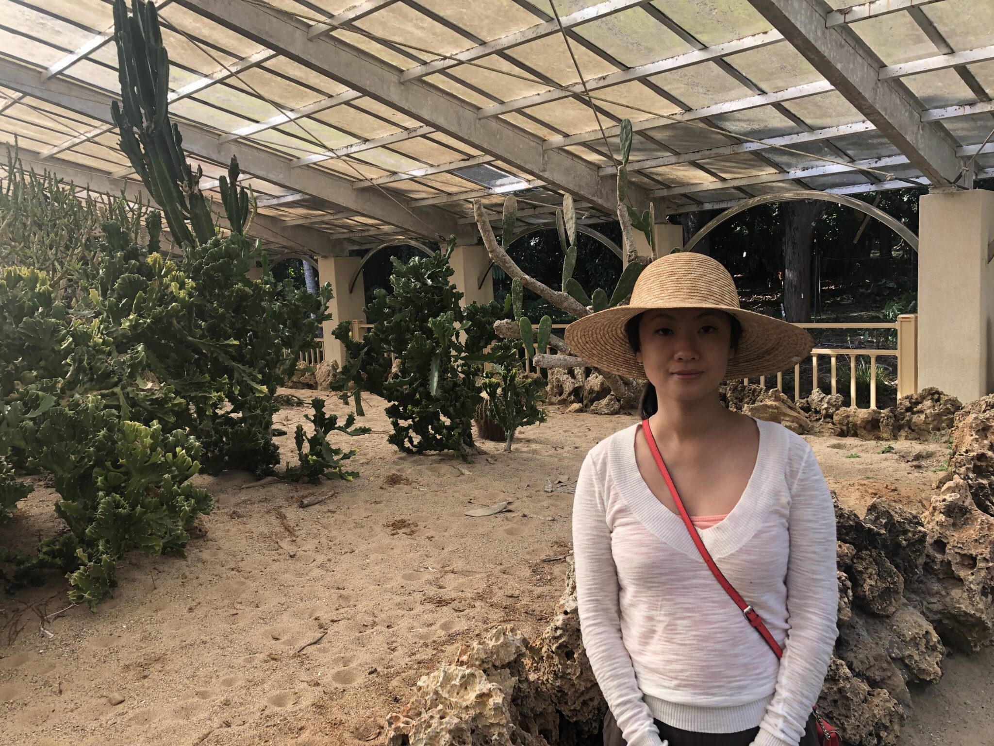 Mountain View – Palo Alto Daily Post